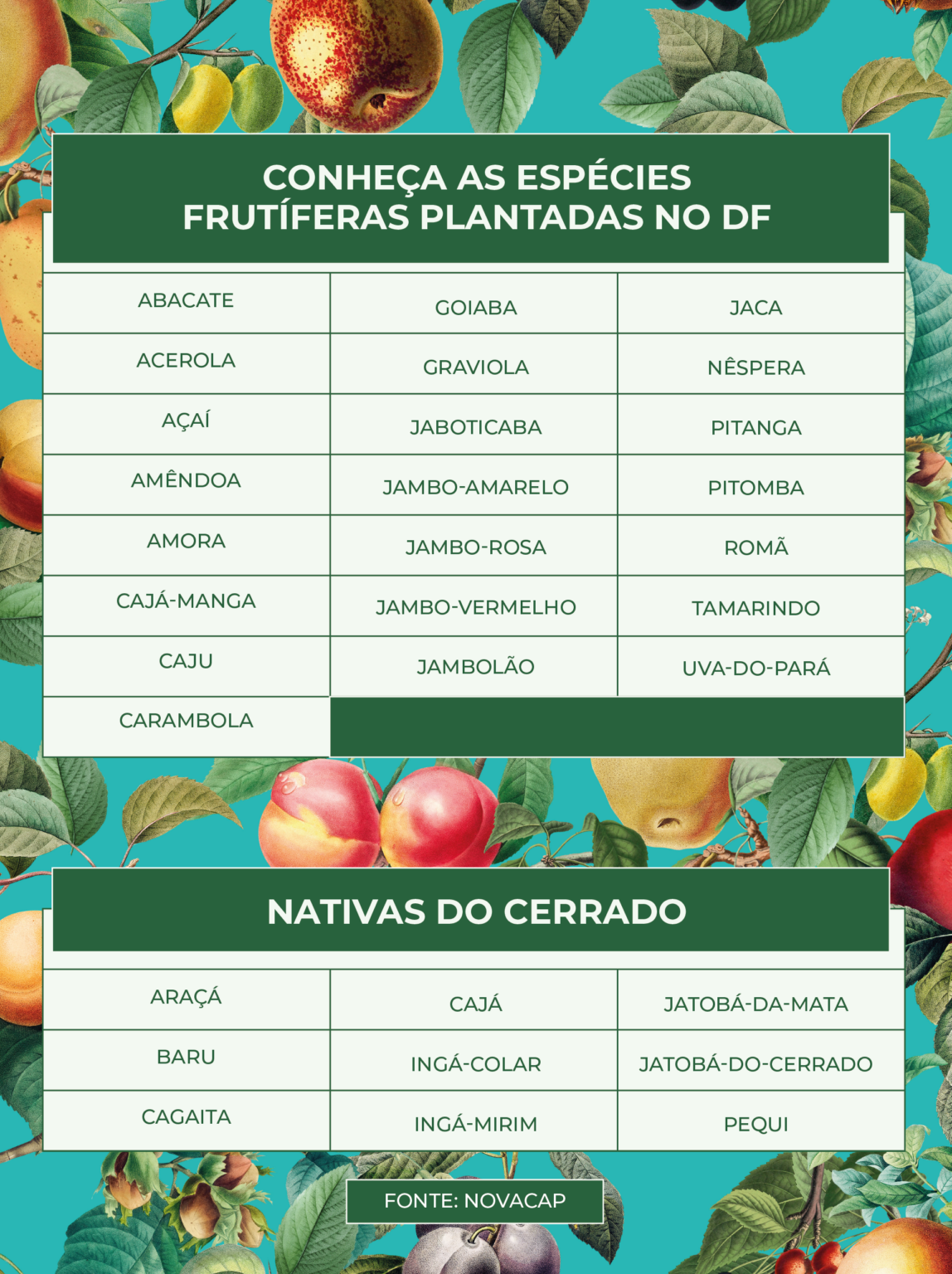 Com 950 mil árvores frutíferas de 35 espécies, DF é pomar a céu aberto ...